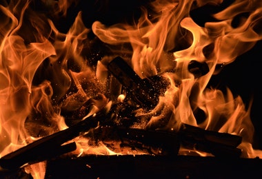 Combating Illegal Phoenixing